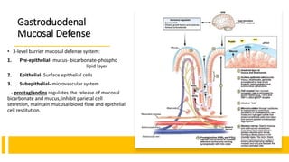 Peptic Ulcer Disease.pptx