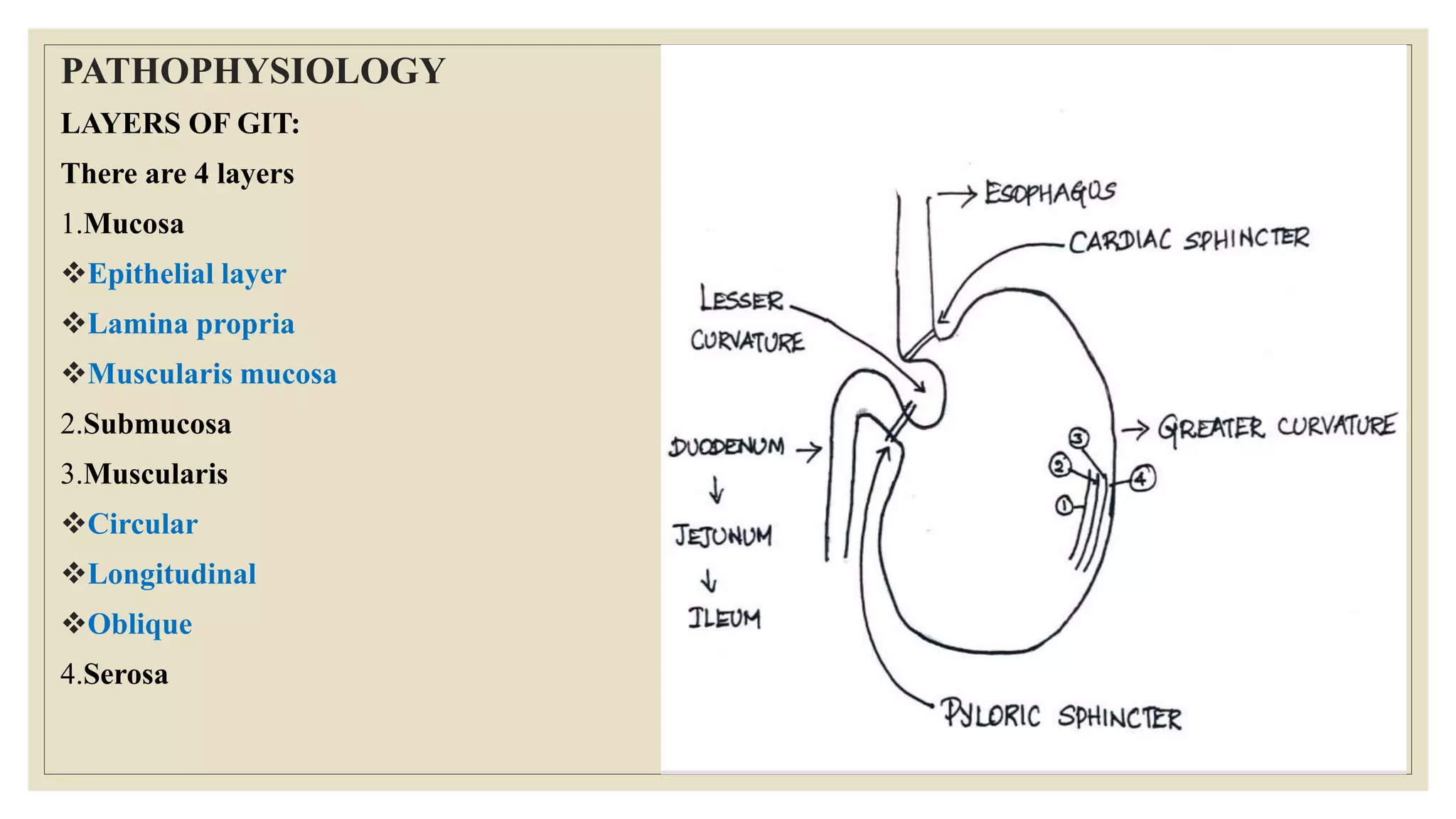 Peptic ulcer disease | PPTX