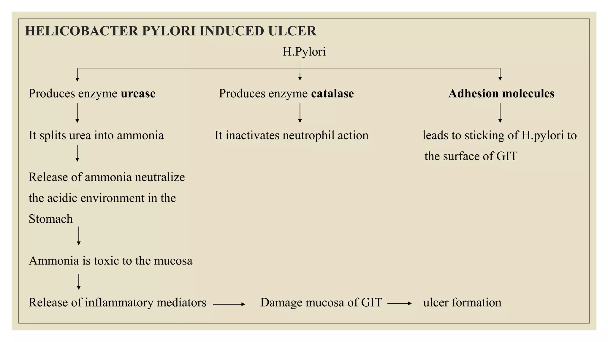 Peptic ulcer disease | PPTX