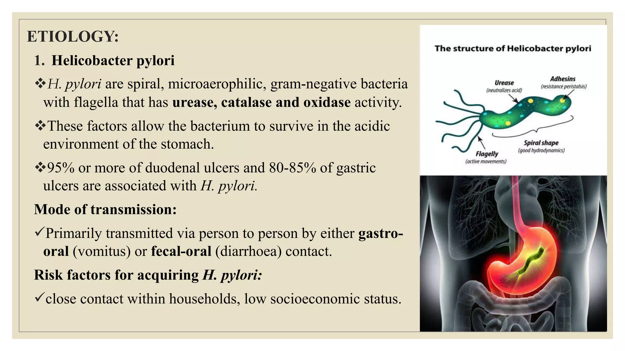 Peptic ulcer disease | PPTX