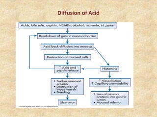 Drugs for Peptic_ulcer_disease- Pharmacology | PPT