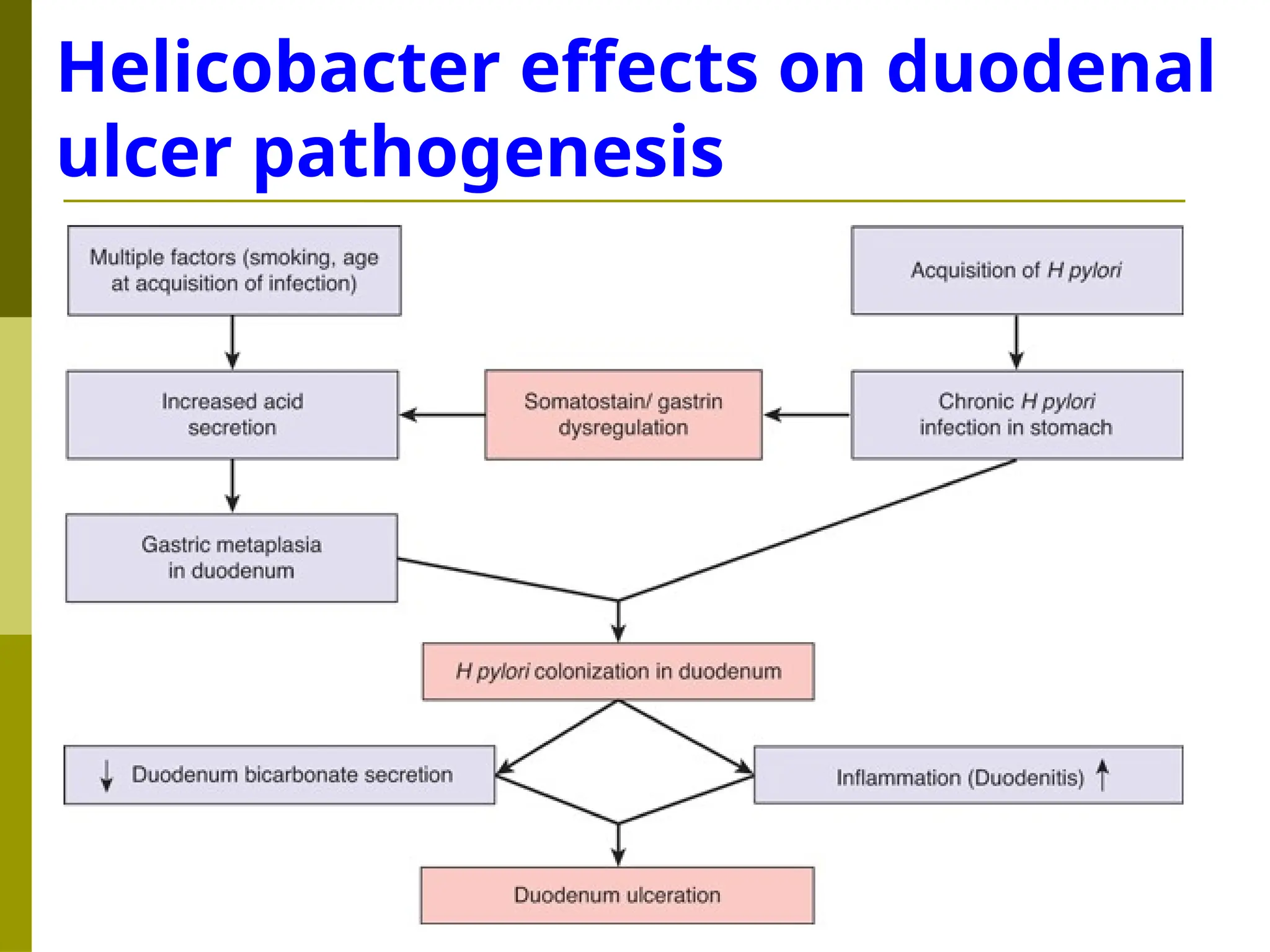 Peptic ulcer disease.pptx duodenum ulcer | PPT