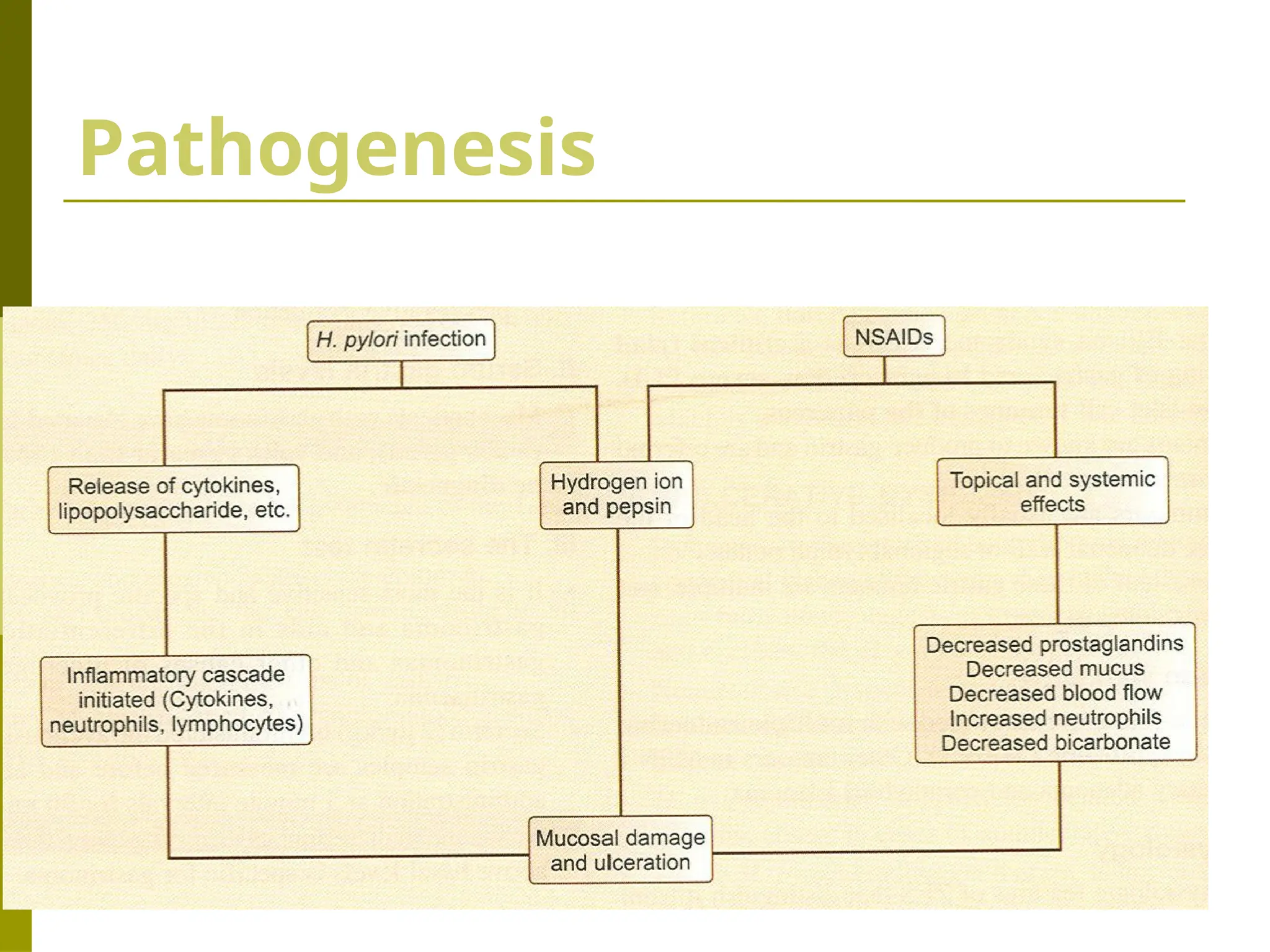 Peptic ulcer disease.pptx duodenum ulcer | PPT