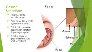 PEPTIC ULCER DISEASE,NURSING AND MEDICAL MANAGEMENT | PPTX
