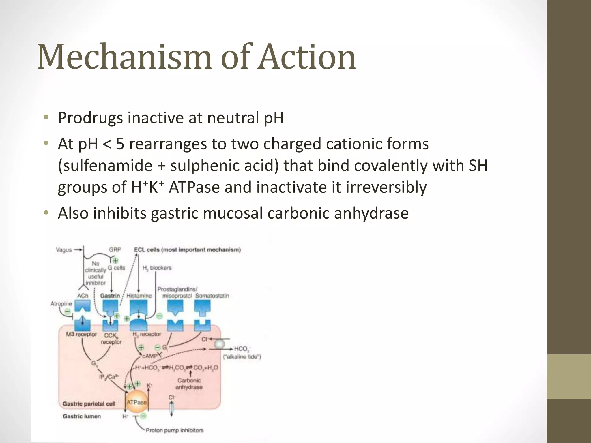 Peptic ulcer disease and acid suppression therapy | PPTX