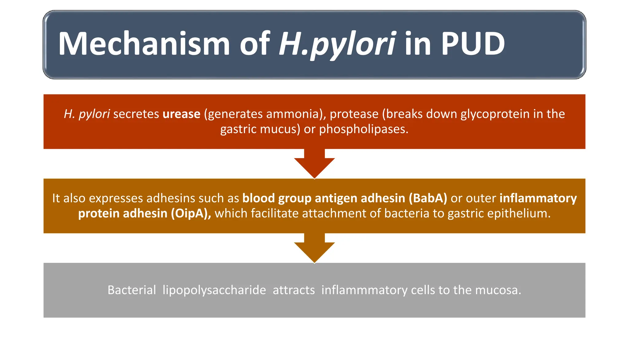 Peptic ulcer disease Pathology.pptx
