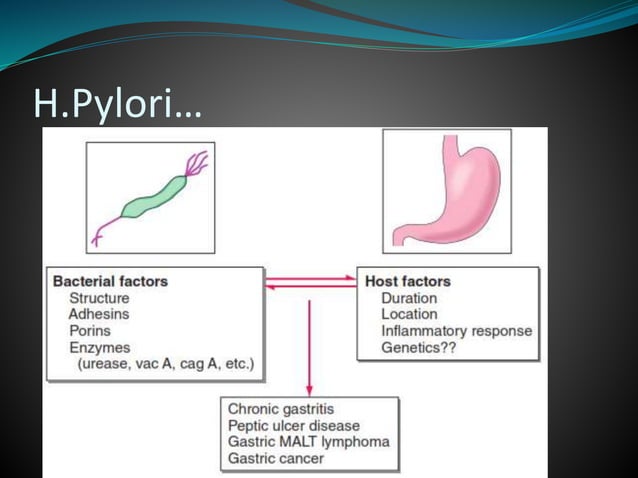 Peptic ulcer disease(PUD) | PPTX