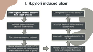 Peptic ulcer modified 2 | PPT