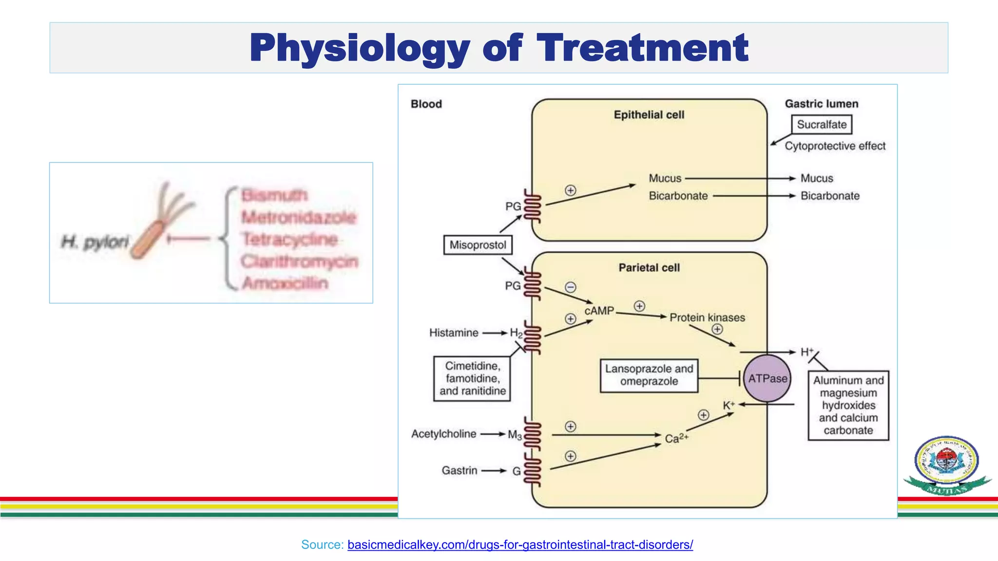 Peptic ulcer pathophysiology | PPTX