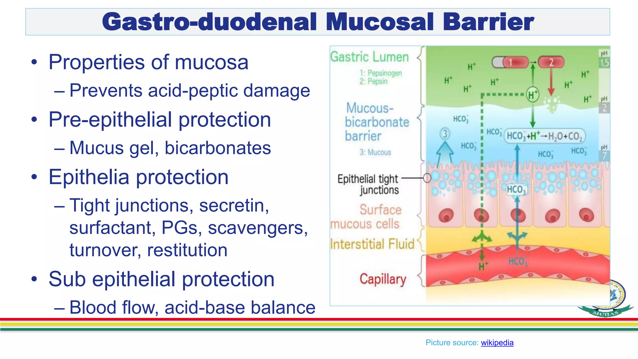 Peptic ulcer pathophysiology | PPTX