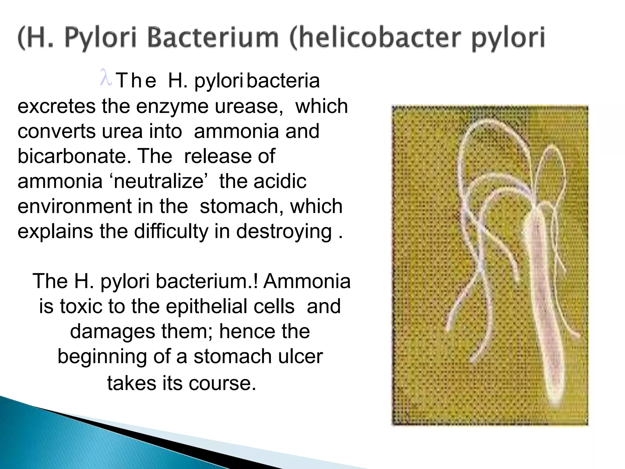 Peptic ulcer ppt | PPTX