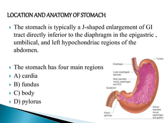 Peptic Ulcers Pathophysiology | PPT