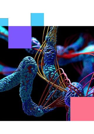 Peptide.pdf