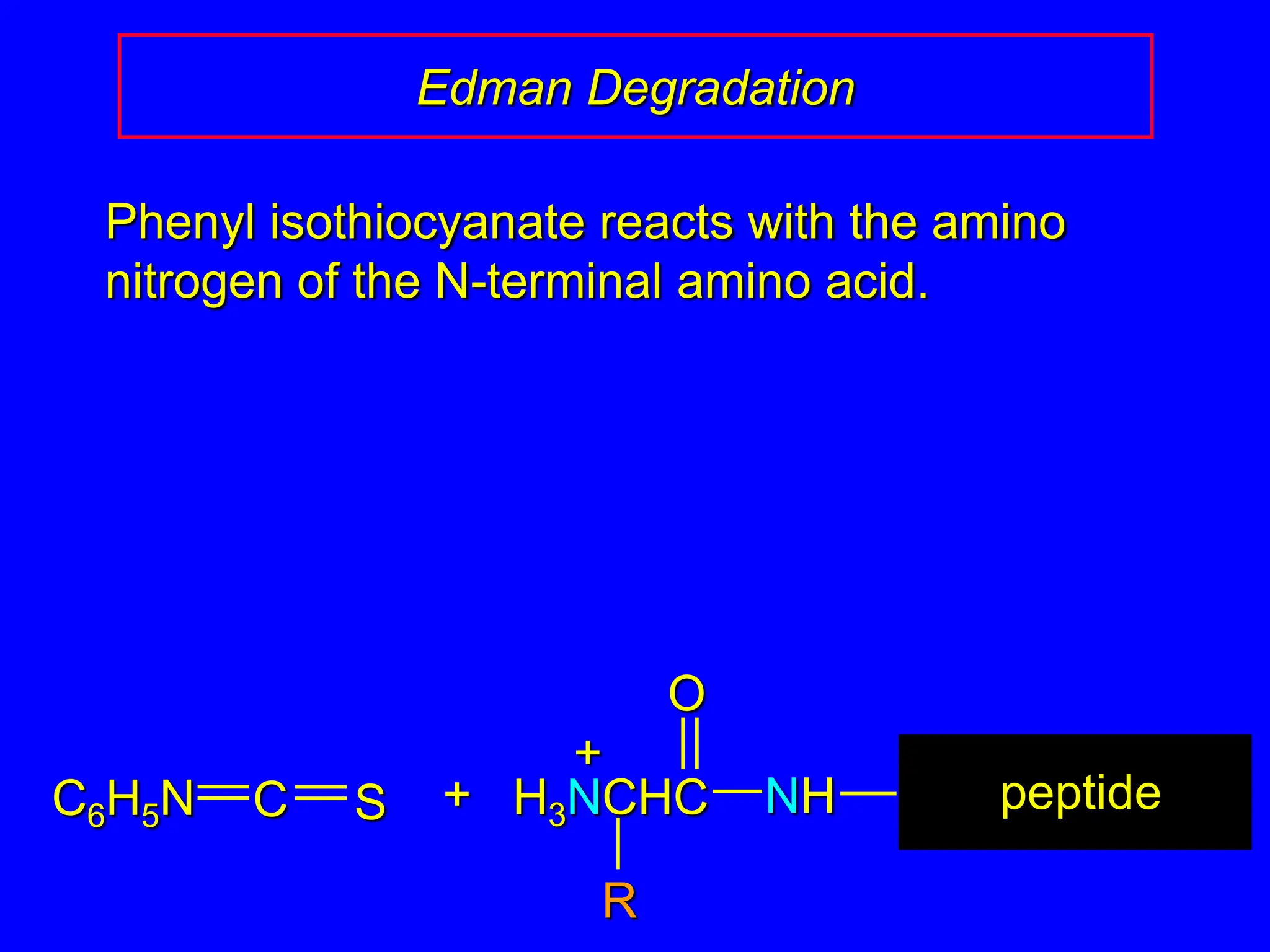 Peptide Structure Determination by Different Methods | PPT
