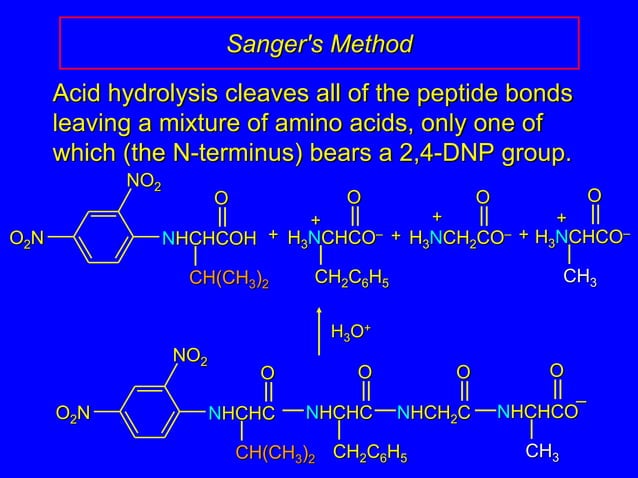 Peptide Structure Determination by Different Methods | PPT | Chemistry ...