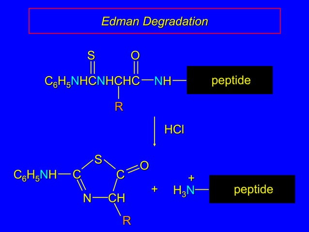 Peptide Structure Determination by Different Methods | PPT | Chemistry ...