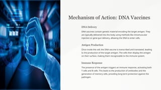 Peptide - and - DNA - vaccines. Immunology | PPTX | Vaccines | Medical ...