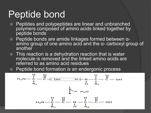 Peptide and polypeptide, protein structure.pptx