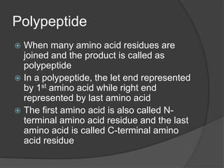 Polypeptide Definition