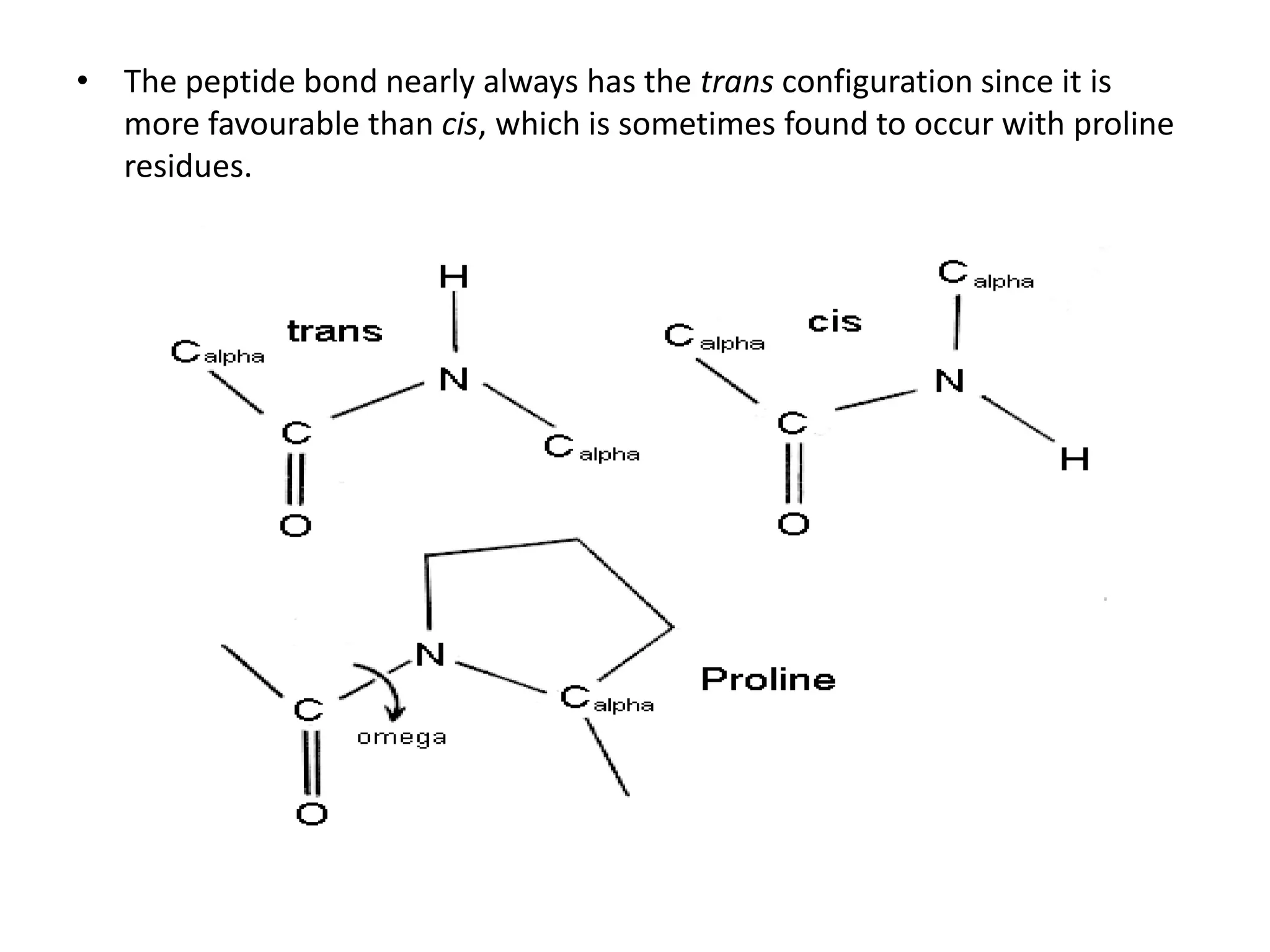 Peptide bond structure | PPTX