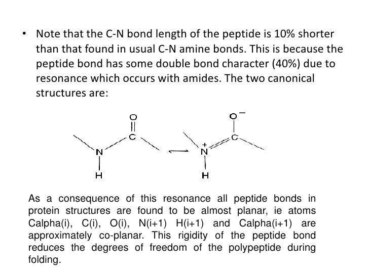 Peptide bond structure