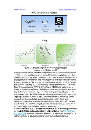 Peptide Drug Conjugates (PDCs) Novel Targeted Therapeutics For Cancer.pdf