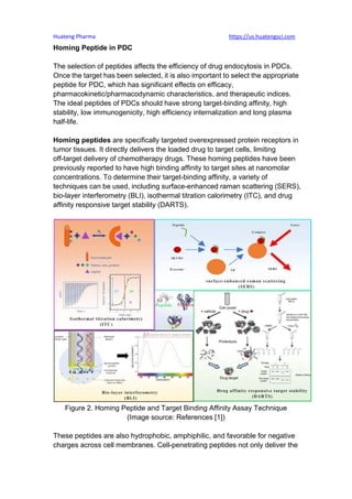 Peptide Drug Conjugates (PDCs) Novel Targeted Therapeutics For Cancer.pdf