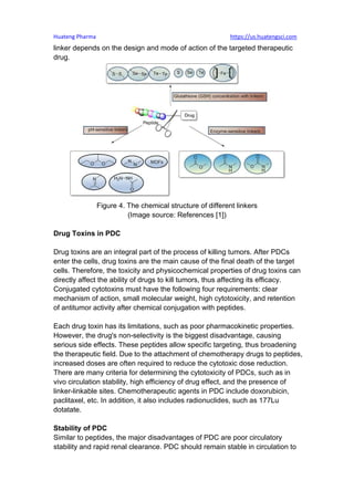 Peptide Drug Conjugates (PDCs) Novel Targeted Therapeutics For Cancer.pdf