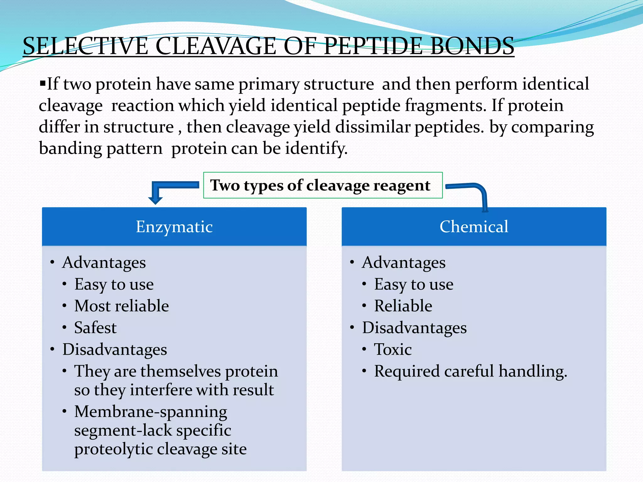 Peptide mapping | PPTX