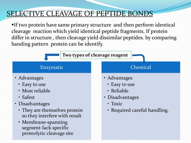 Peptide mapping | PPTX | Chemistry | Science