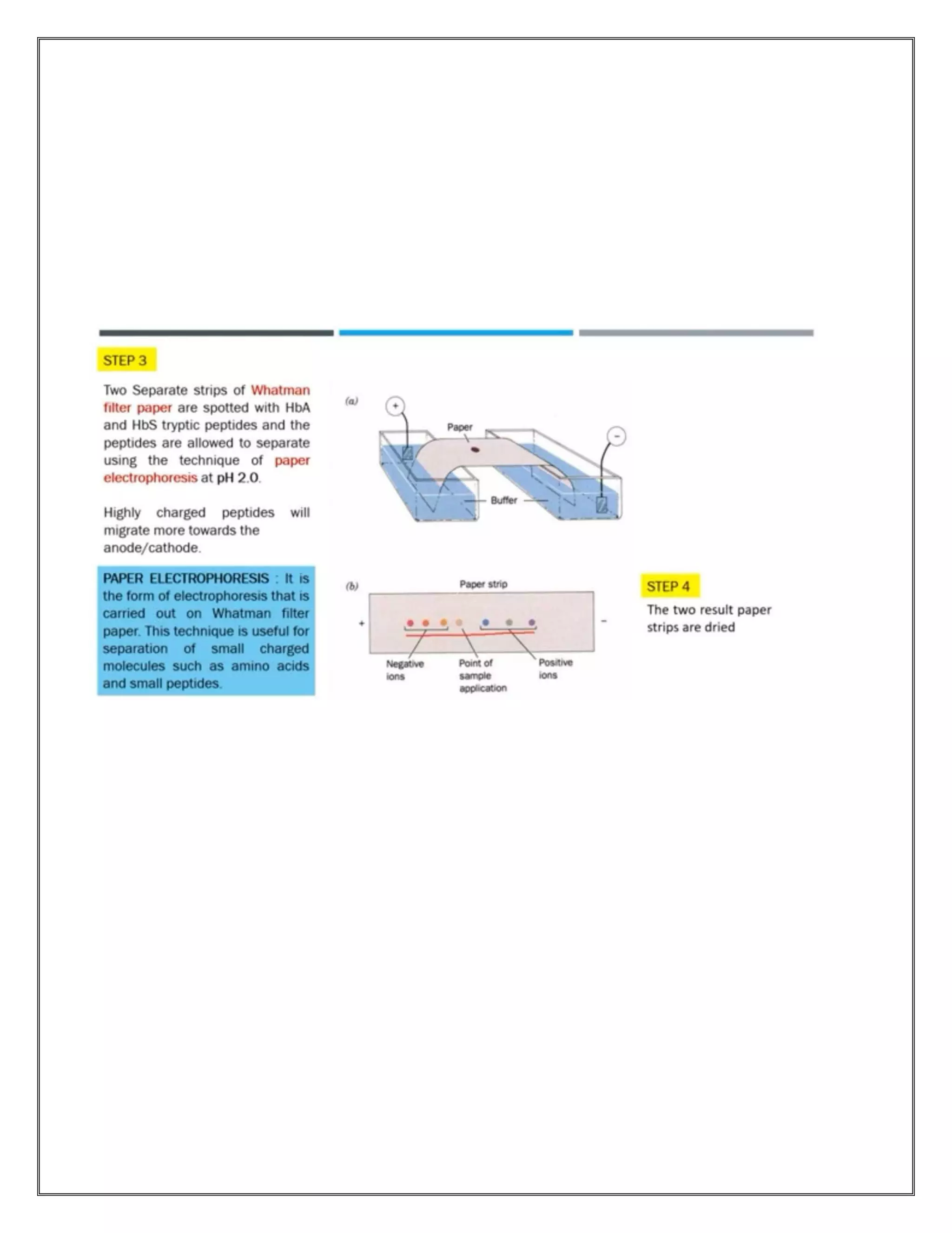 Peptide mapping (1) | PDF