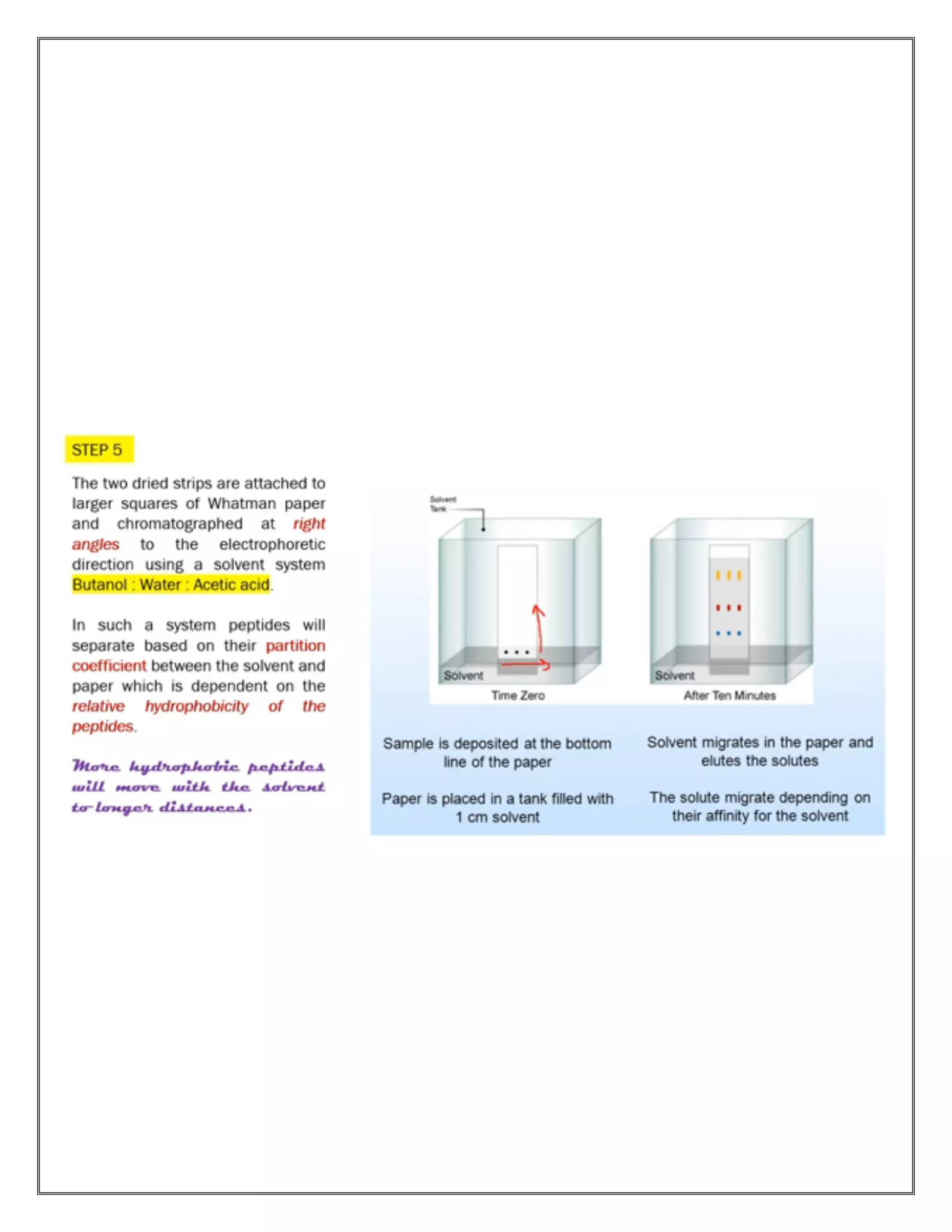 Peptide mapping (1) | PDF