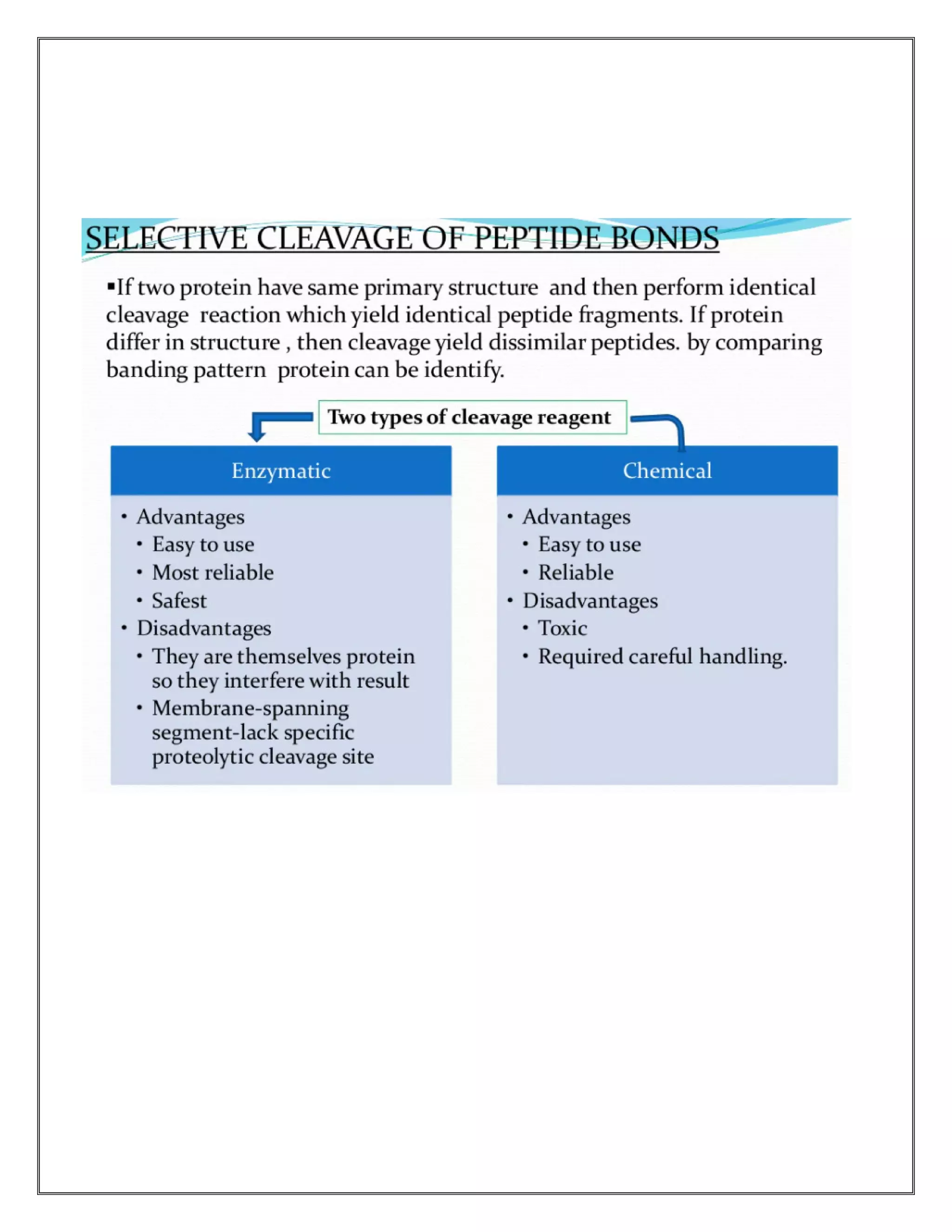 Peptide mapping (1) | PDF