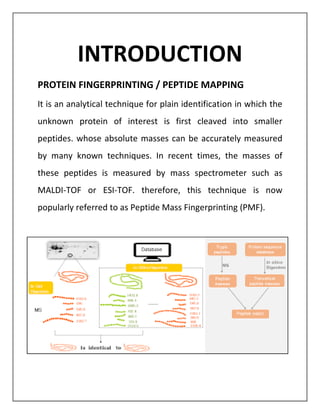 Peptide mapping (1) | PDF