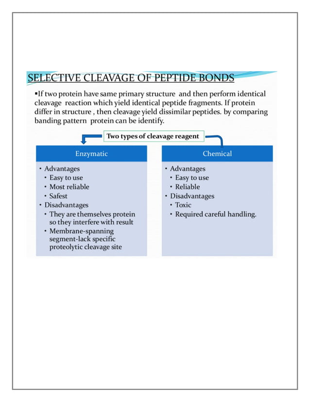 Peptide Mapping 1 Pdf