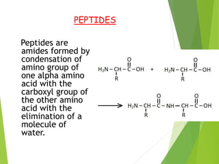 PRIMARY STRUCTURE OF PEPTIDES | PPTX