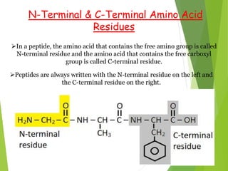 PRIMARY STRUCTURE OF PEPTIDES | PPTX