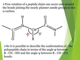 PRIMARY STRUCTURE OF PEPTIDES | PPTX
