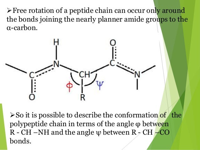 PRIMARY STRUCTURE OF PEPTIDES