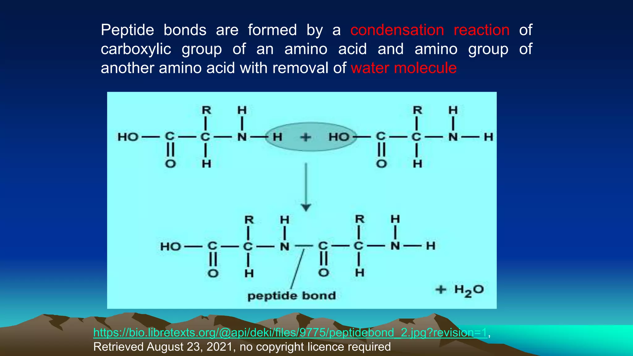 PEPTIDES AND PEPTIDES BONDS CHARACTERISTICS.pptx