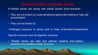 PEPTIDES AND PEPTIDES BONDS CHARACTERISTICS.pptx