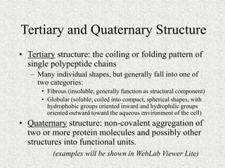 PeptidesandProteins.ppt