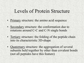 PeptidesandProteins.ppt
