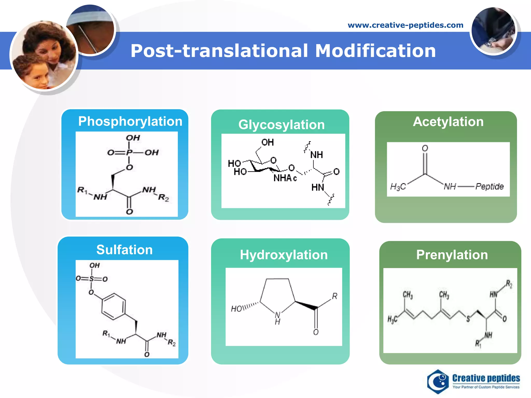 Peptides modification creative peptides | PPTX