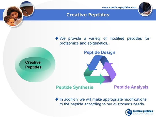 Peptides modification creative peptides | PPTX | Chemistry | Science