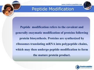 Peptides modification creative peptides | PPTX