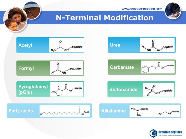 Peptides modification creative peptides | PPTX | Chemistry | Science