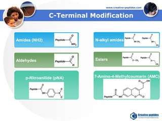Peptides modification creative peptides | PPTX