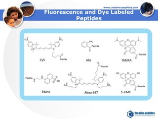 Peptides modification creative peptides | PPTX