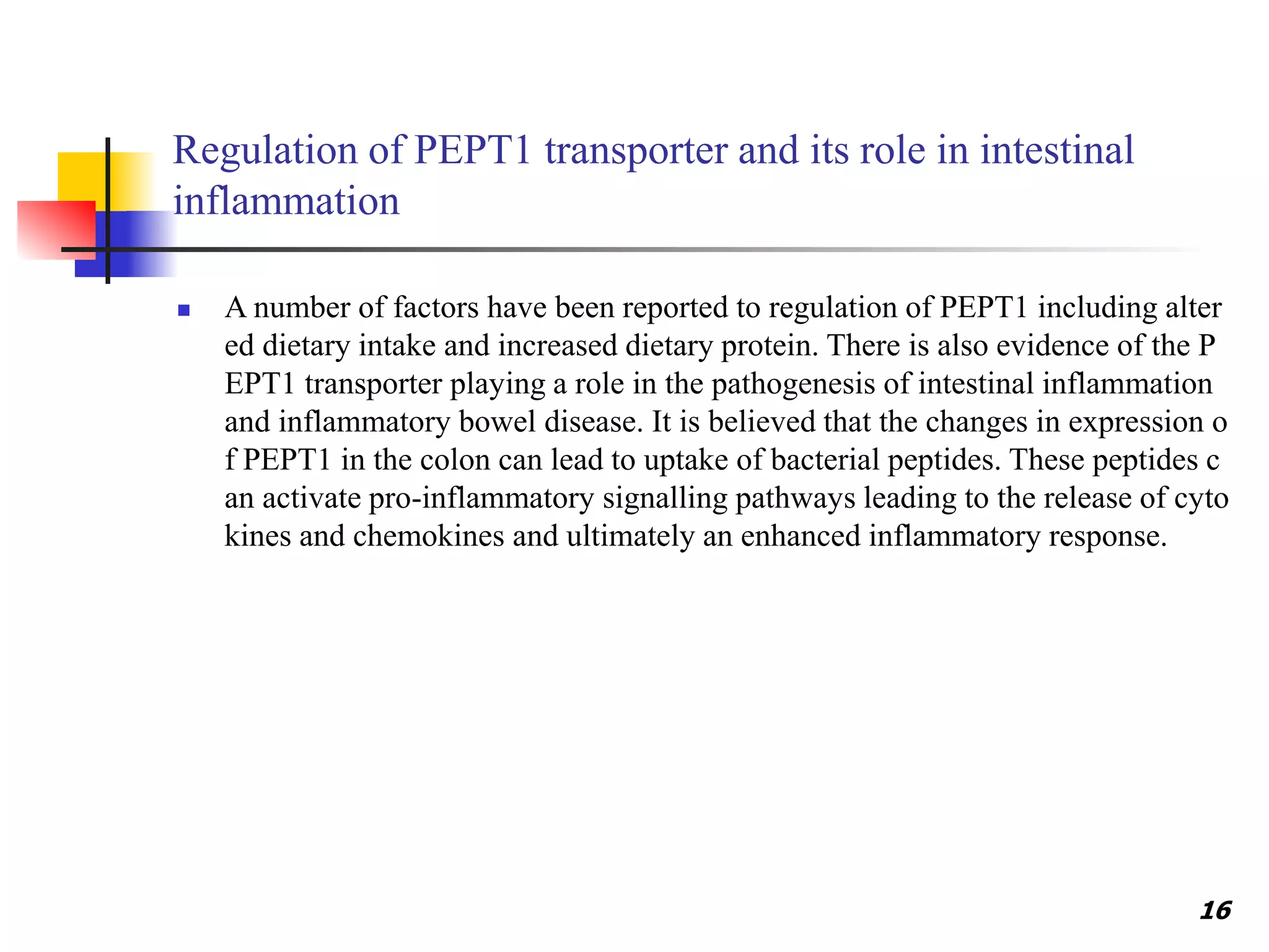 Peptide transporter | PPT